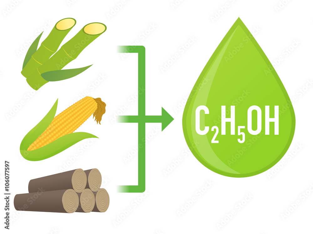 How Cellulosic Ethanol Is Made