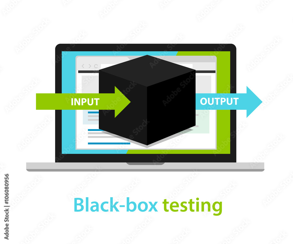 black box testing input output process software development methodology ...