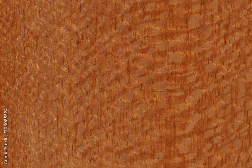 timber grain of Grevillea robusta, southern silky oak Stock Photo ...
