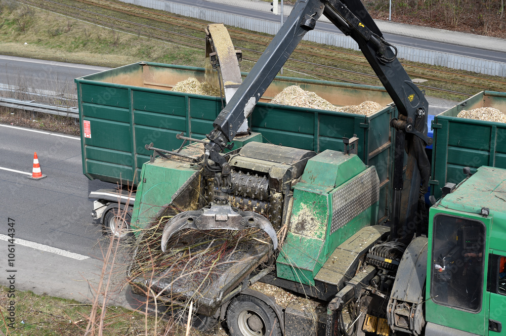Bäume schreddern Stock-Foto | Adobe Stock