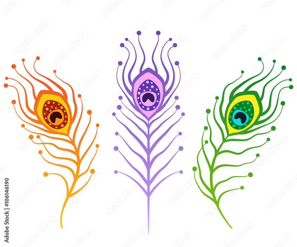 Animated Peacock Feather