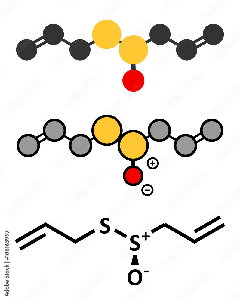 Vetor do Stock: Allicin garlic molecule. Formed from alliin by the ...