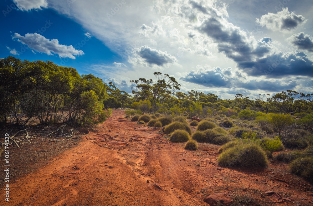 Curvy red soil dirt road Australian outback rural wilderness Stock ...