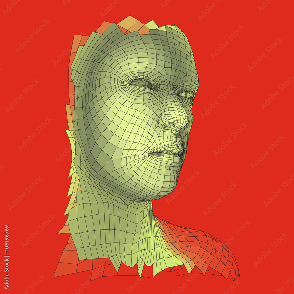 Head of the Person from a 3d Grid. Human Head Wire Model. Human Polygon ...