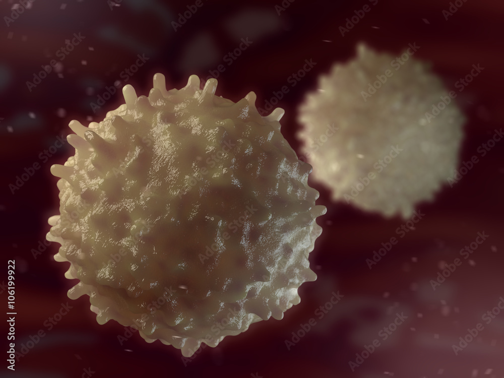 B-lymphocyte. Immune cell. Antibody-producing cell Stock Illustration ...