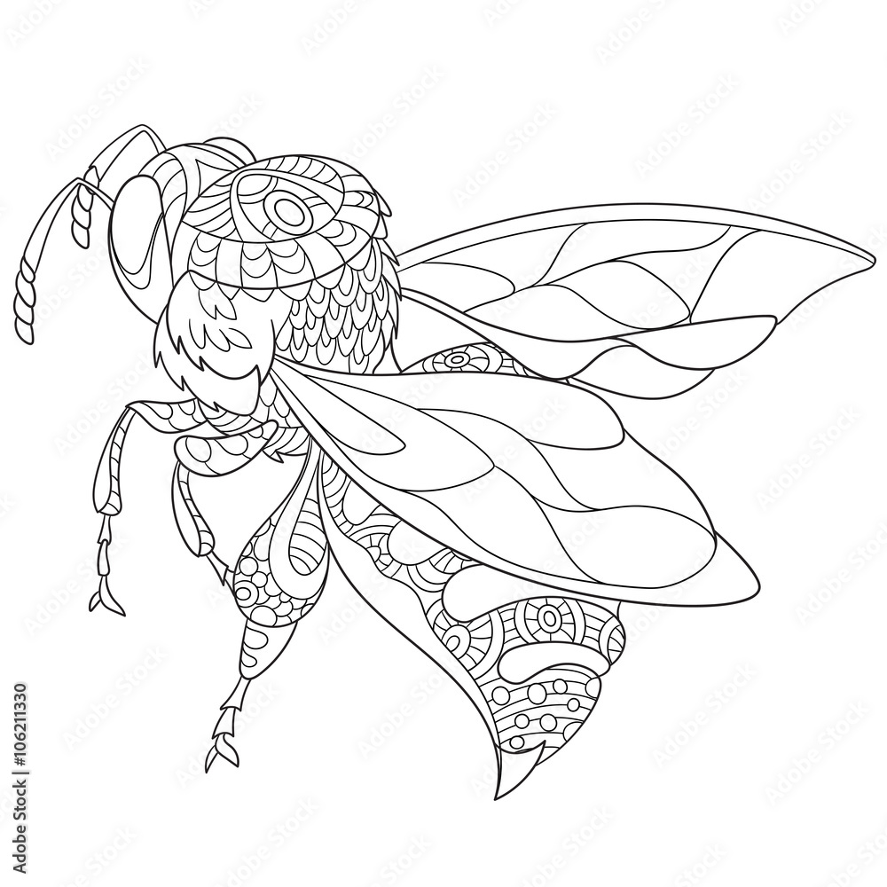 Zentangle stylized cartoon bee insect (bumblebee), isolated on white ...