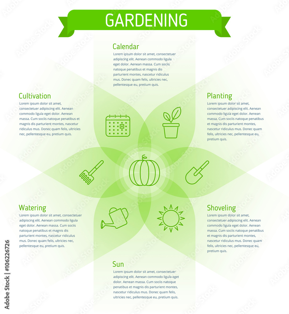 Infographic elements. Gardening flat line illustration concept ...