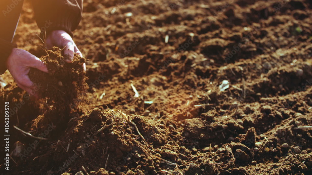 Farmer examining soil. Agriculture background. Stock Video | Adobe Stock