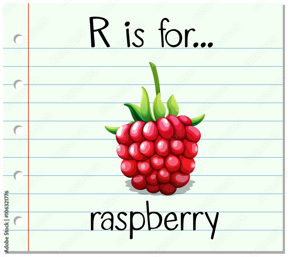 Flashcard letter R is for raspberry Stock Vector | Adobe Stock