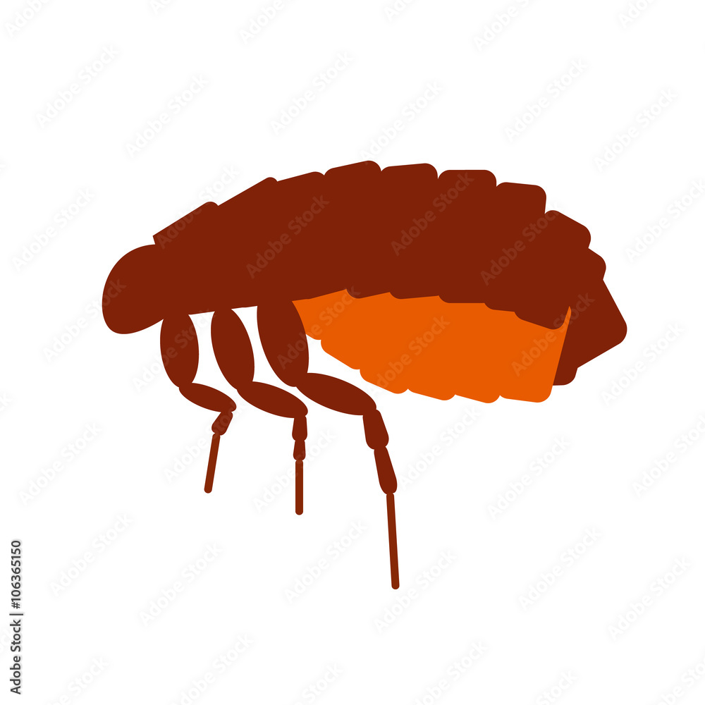 Skin pest flea vector illustration. Flea isolated on white background ... Skin pest flea vector illustration. Flea isolated on white background ...