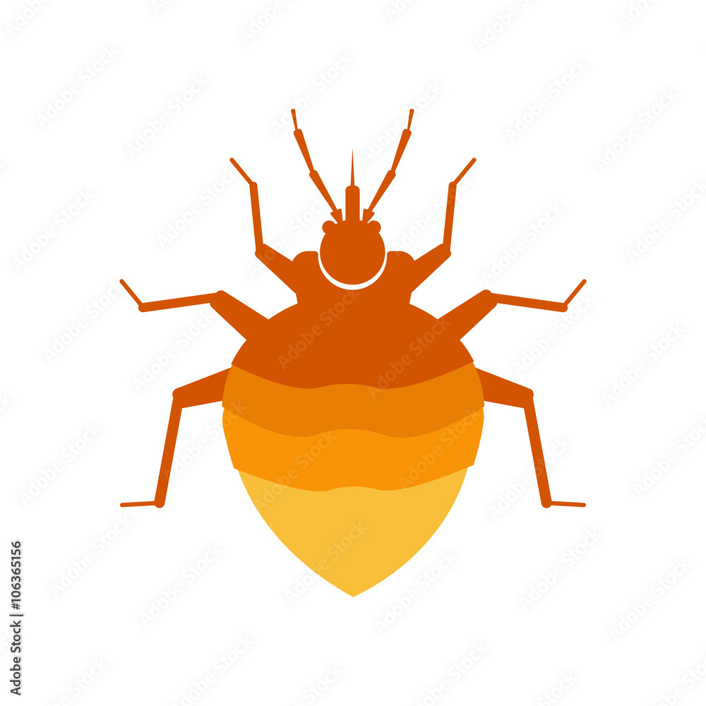 Mosquito vector illustration. Mosquito isolated on white background ...
