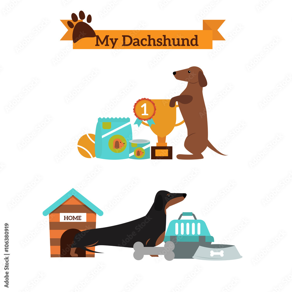 Dachshund dog playing infographic vector presentation symbols set ...