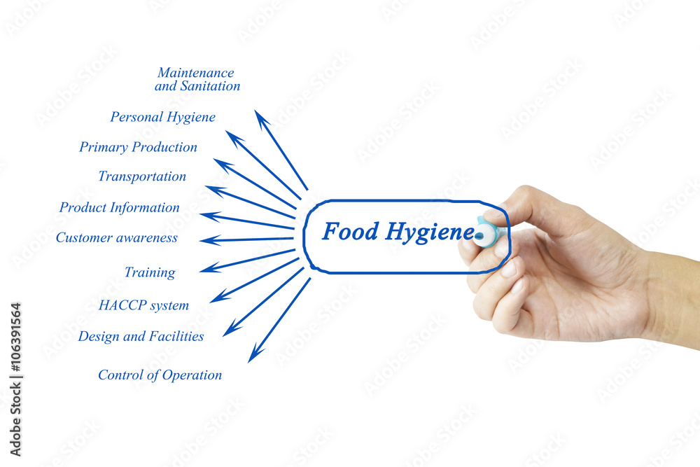 Women hand writing element of Food Hygiene Principle concept for use in ...