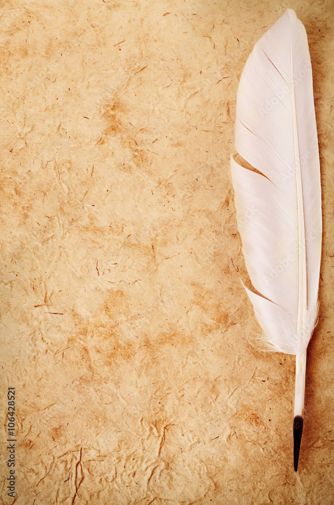 Feather Pen And Paper Background