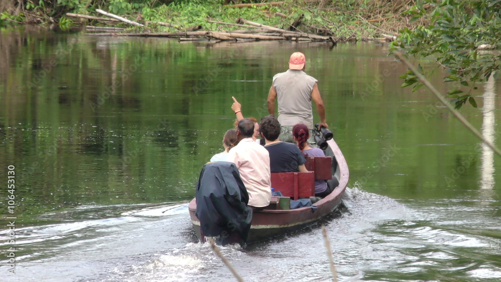 Experience the breathtaking beauty of the Ecuadorian Amazon Basin as ...