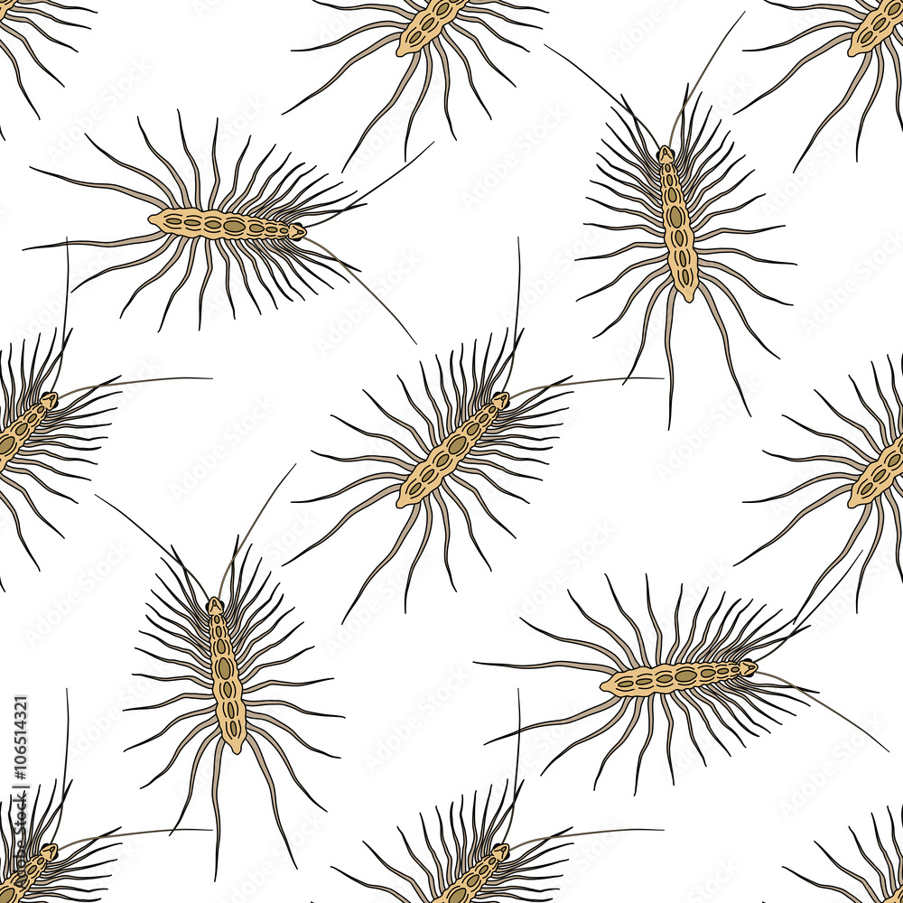 Seamless pattern with Scutigera coleoptrata. millipede. hand-drawn ...