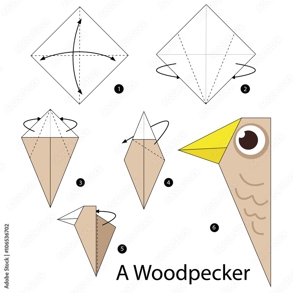 Step by step instructions how to make origami A Woodpecker. Stock Vector | Adobe Stock