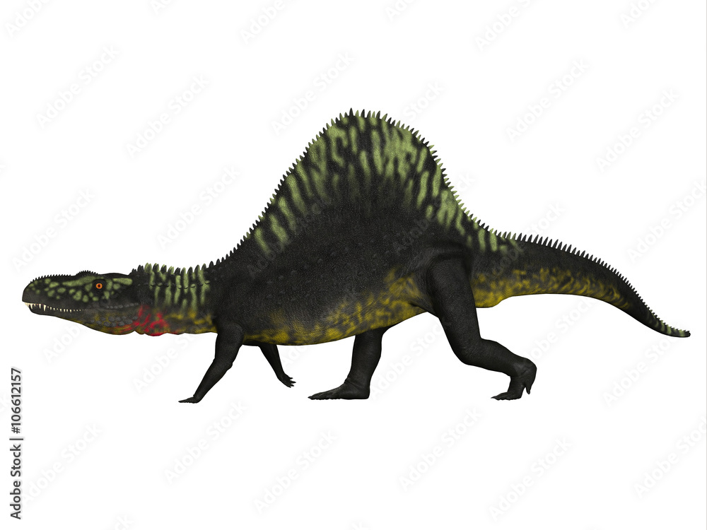 Arizonasaurus Side Profile - Arizonasaurus was a sailback carnivorous ...