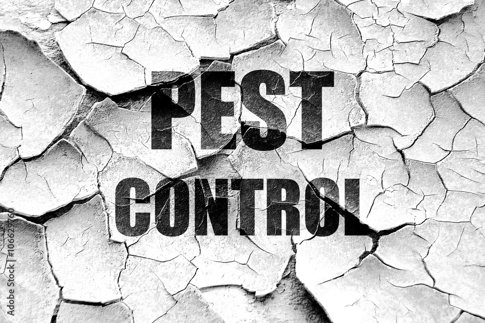 Grunge cracked Pest control background Stock Illustration | Adobe Stock