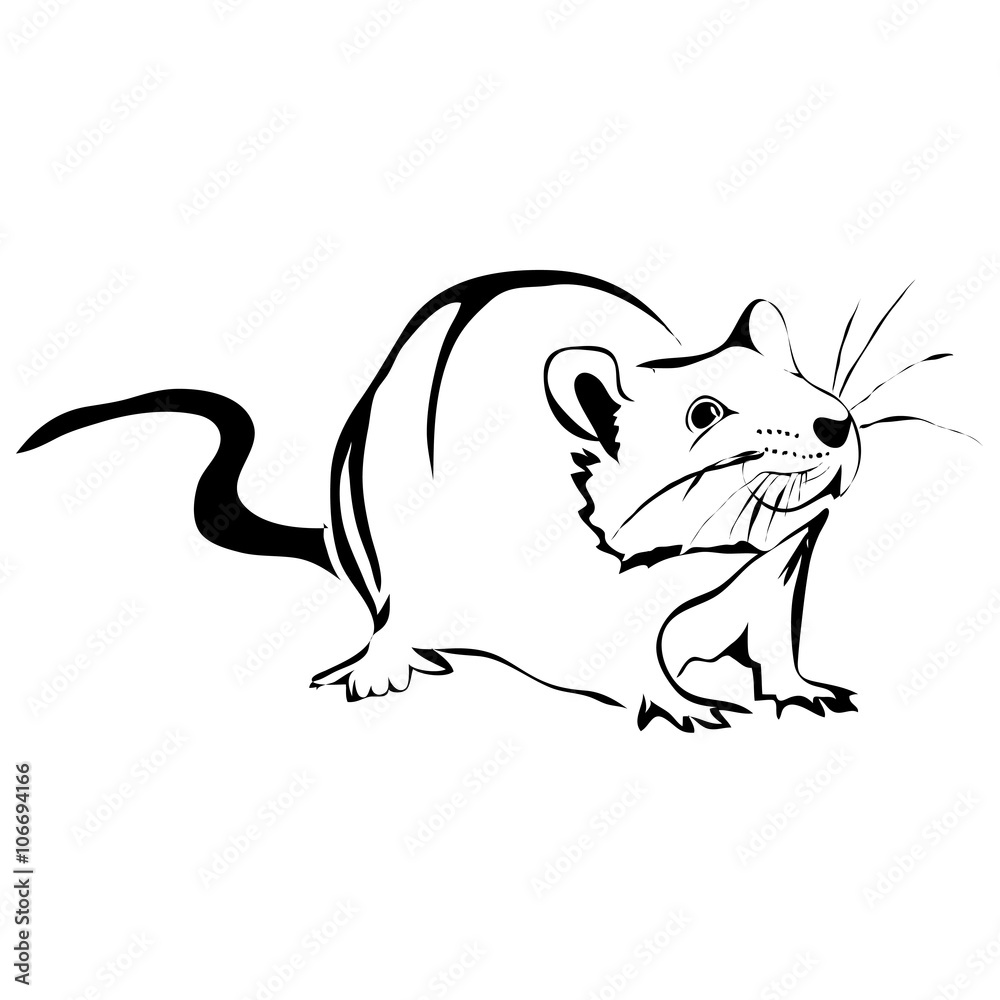Outline rat vector image. Can be use for logo and tattoo Stock Vector ...