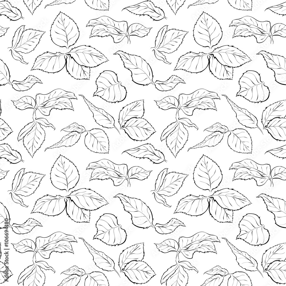 Rose Leaves Drawing