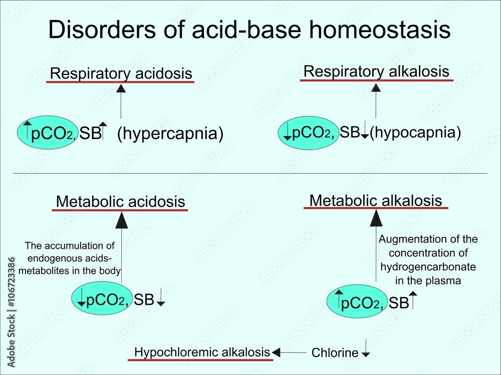 Disorders of acid-base homeostasis Stock Vector | Adobe Stock