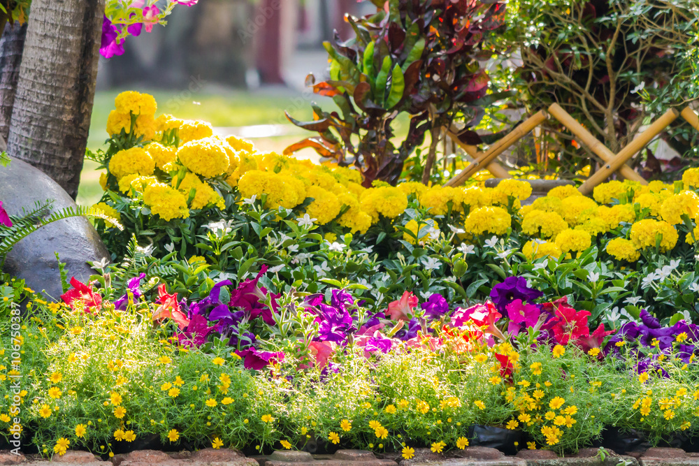 Beautiful Summer Gardens