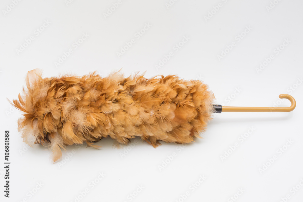 Feather broom Stock Photo | Adobe Stock