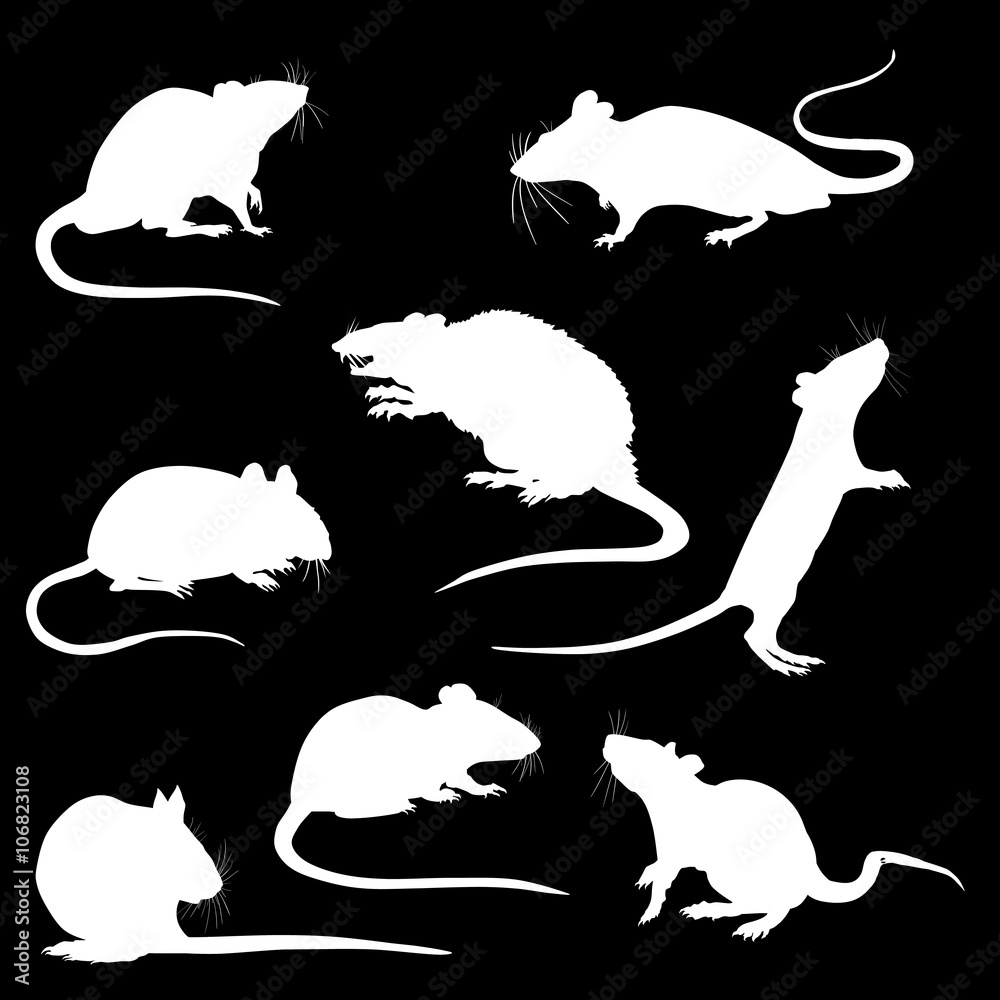 Silhouette of a rats vector clipart Stock Vector | Adobe Stock