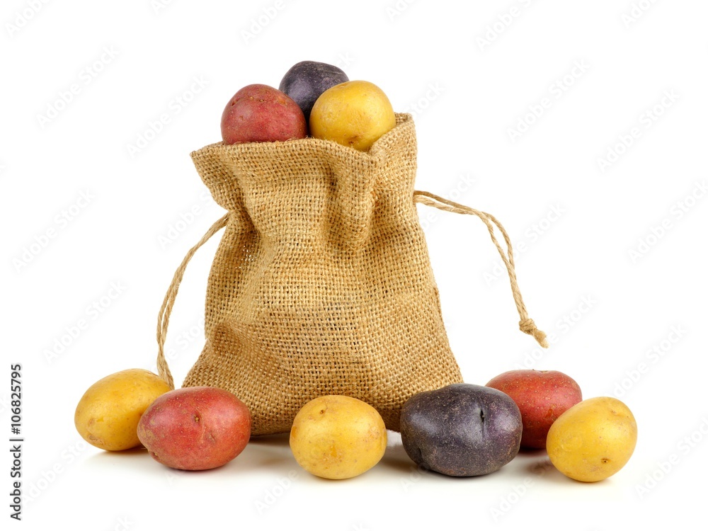 Full burlap sack of colorful fresh little potatoes over a white ...