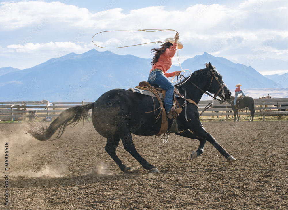 Caucasian woman using lasso on horse at rodeo Stock Photo | Adobe Stock