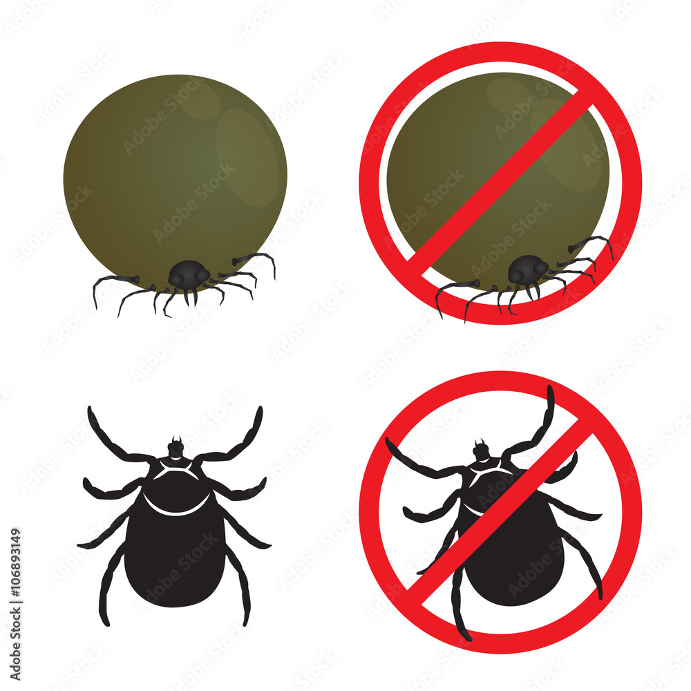 Tick flea and Stop Tick flea sign symbols vector design Stock Vector ...