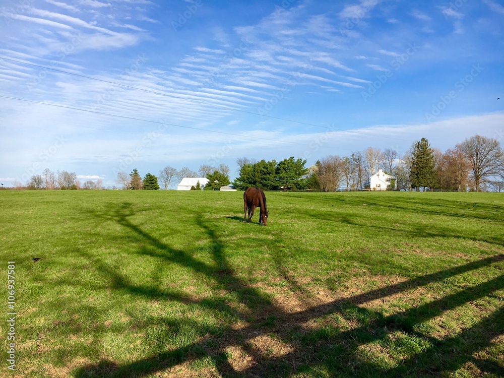 Countryside Stock Photo | Adobe Stock