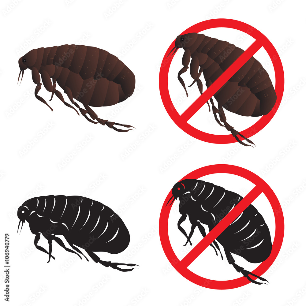 Cootie and Stop cootie sign symbols vector design Stock Vector | Adobe ...