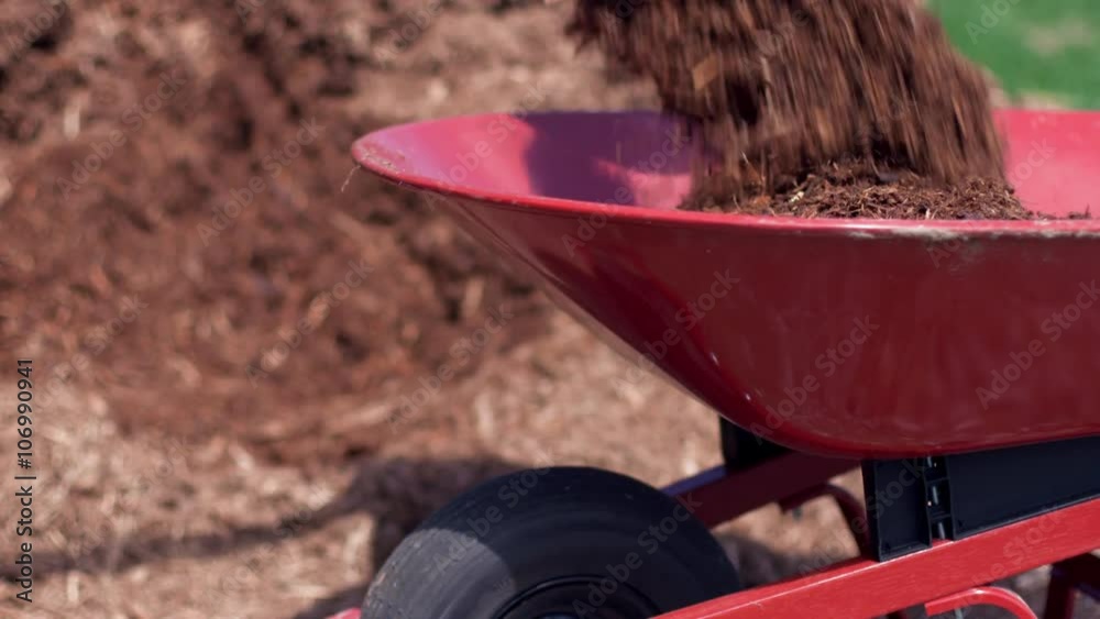 Soft focus shovel digs out garden mulch and piles it into a wheelbarrow ...