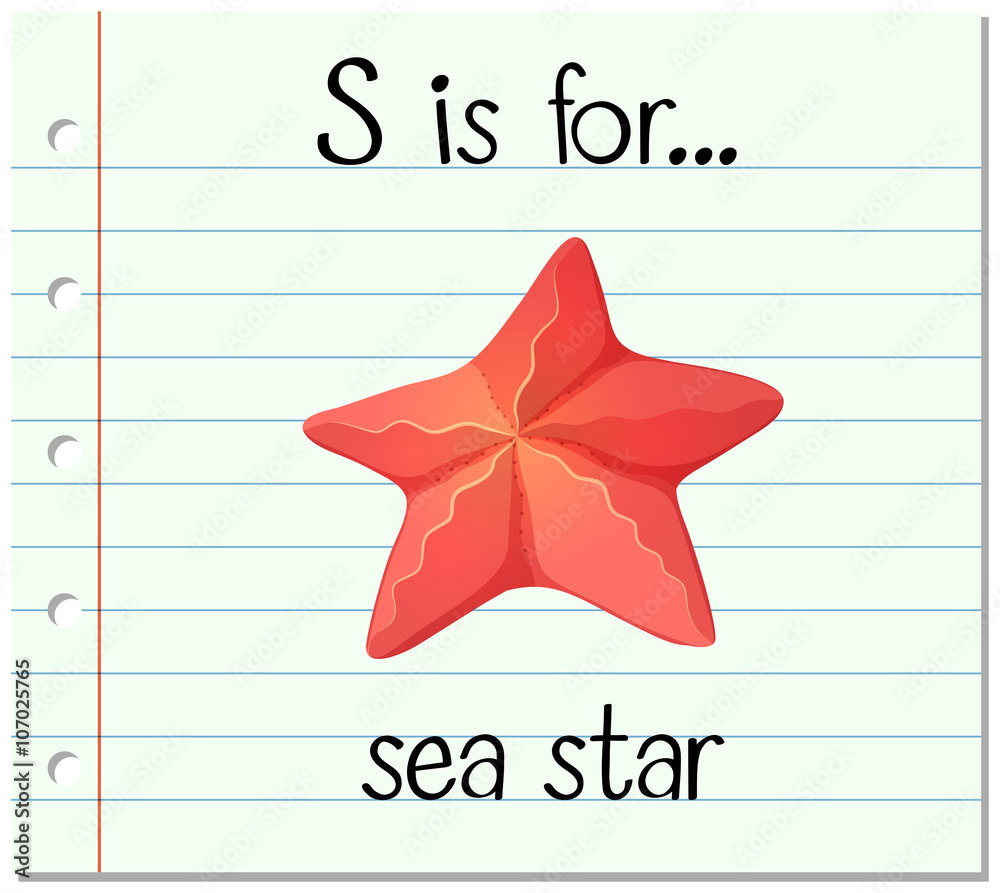 Flashcard letter S is for sea star Stock Vector | Adobe Stock