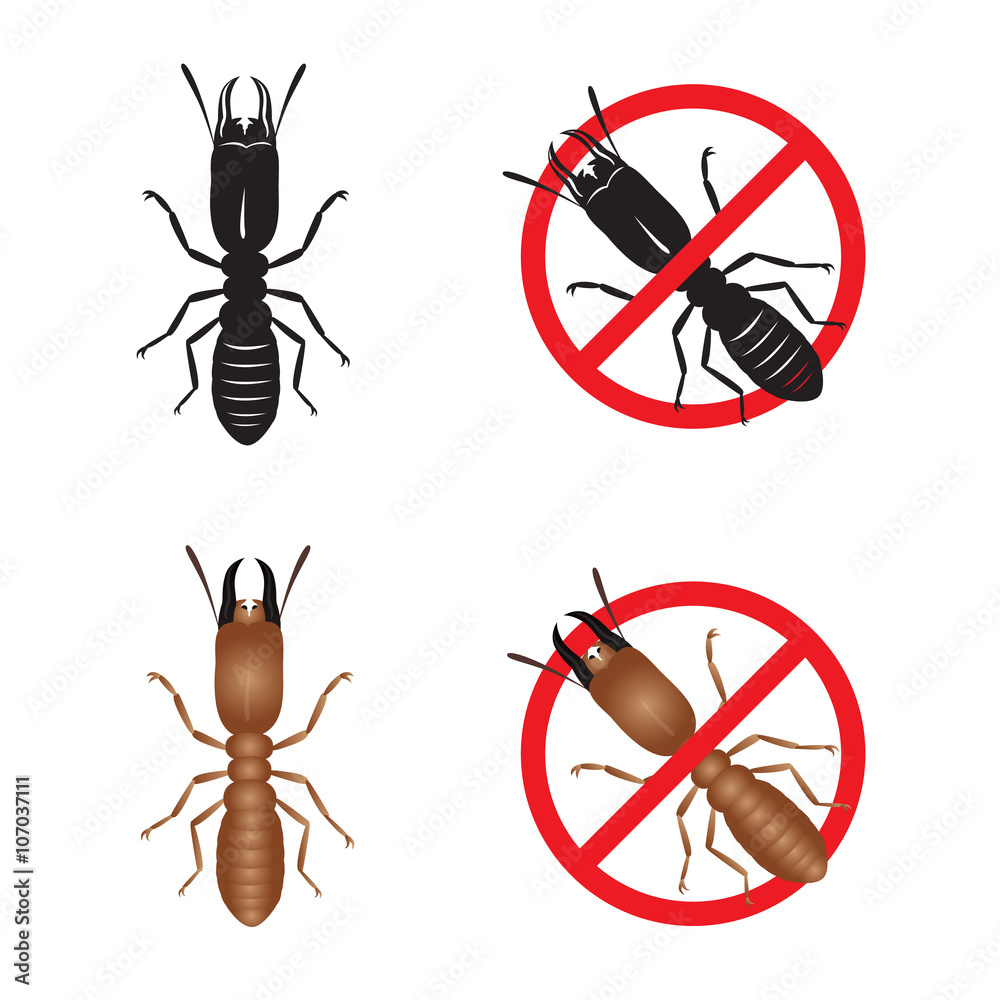 Termite and Stop termite sign symbols vector design Stock Vector ...