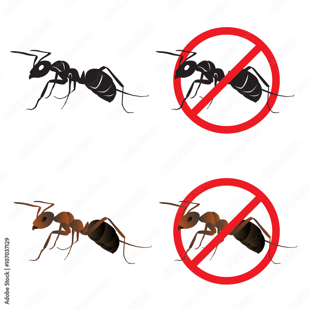 Ant and Stop ant sign symbols vector design Stock Vector | Adobe Stock