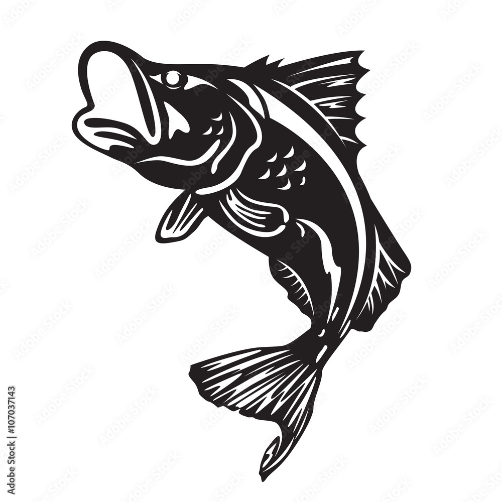 The Barramundi fish jump vector art design Stock Vector | Adobe Stock