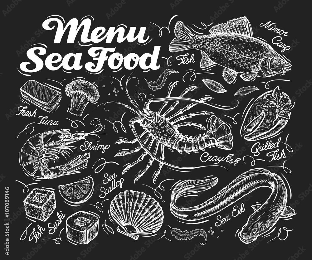 Menu seafood. Hand drawn fish carp, sea eel, scallops, shrimp, lobster ...