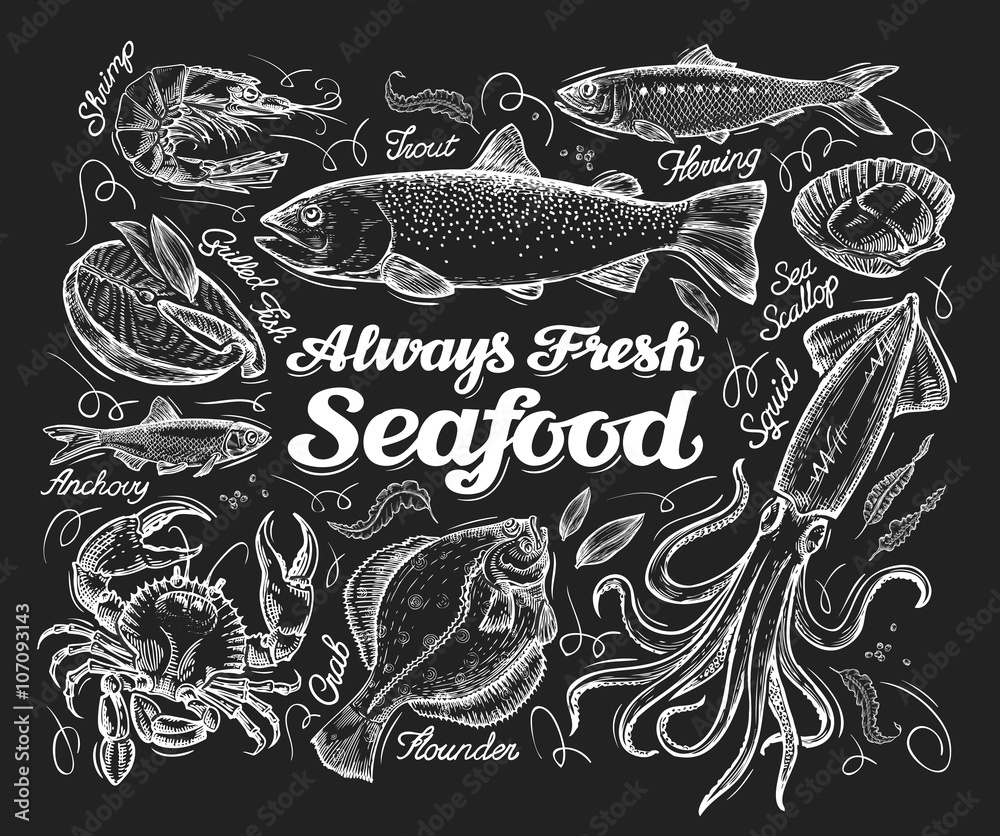 Seafood. Hand drawn sketch of a fish, trout, flounder, herring, squid ...