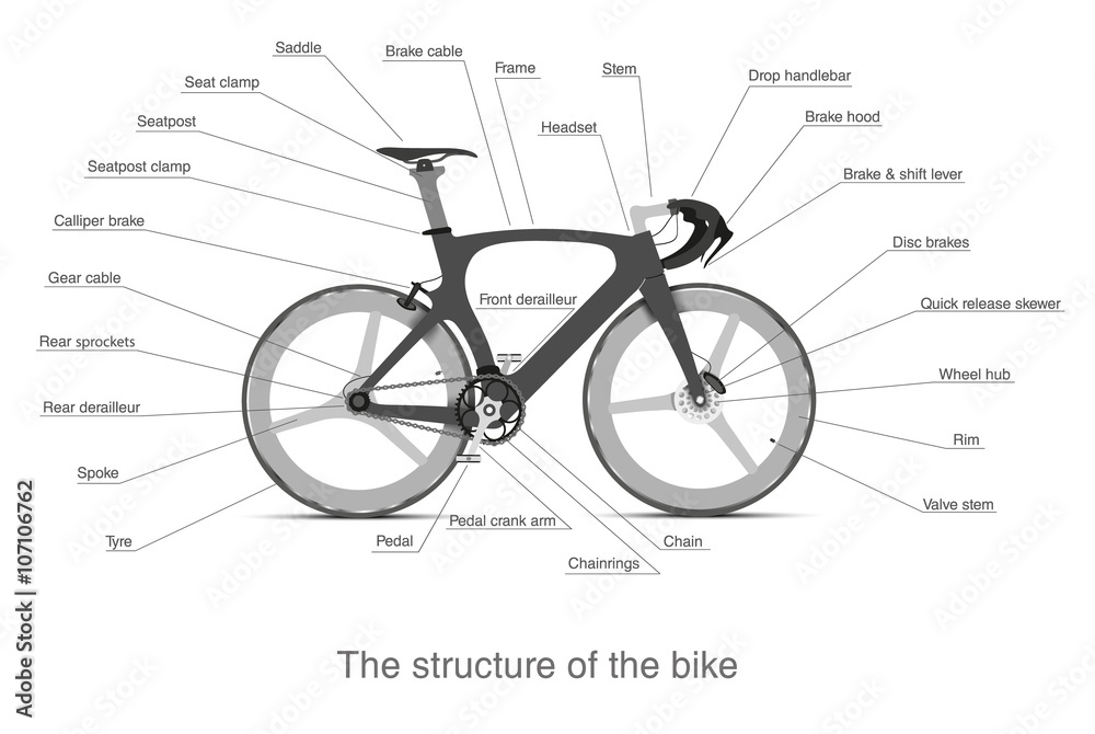 Infographic of the structure of bike Stock Vector | Adobe Stock
