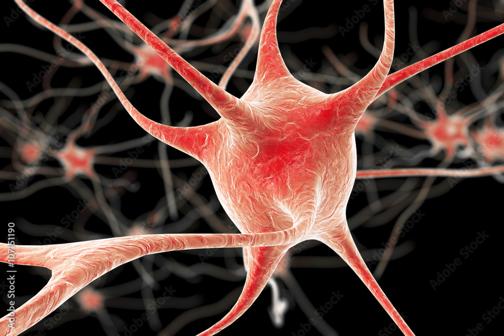 Brain Cells Wallpaper