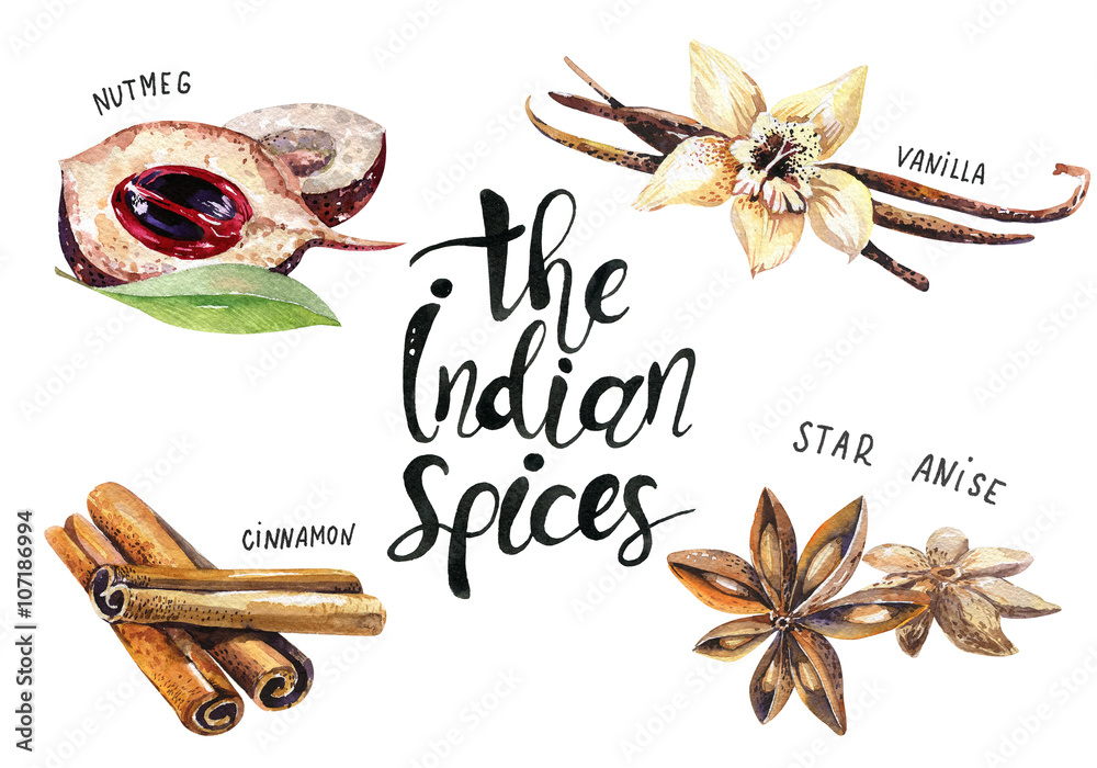 set of spice, drawing by watercolor, hand drawn illustration Stock ...
