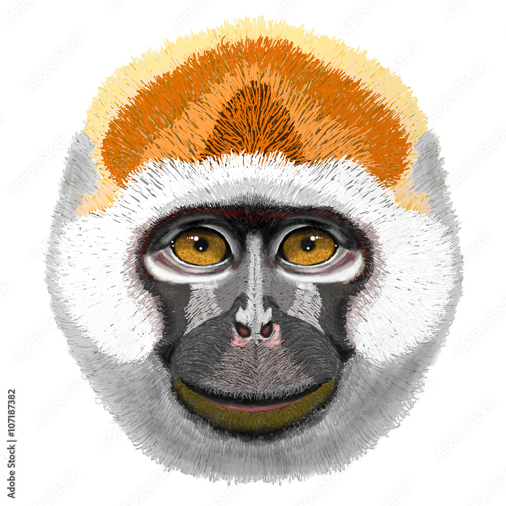 Funny monkey head with smile on the face and fluffy fur, raster ...