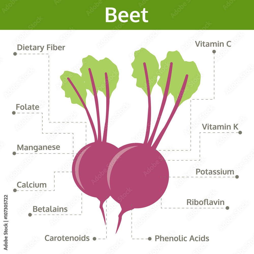 beet nutrient of facts and health benefits, info graphic Stock Vector ...