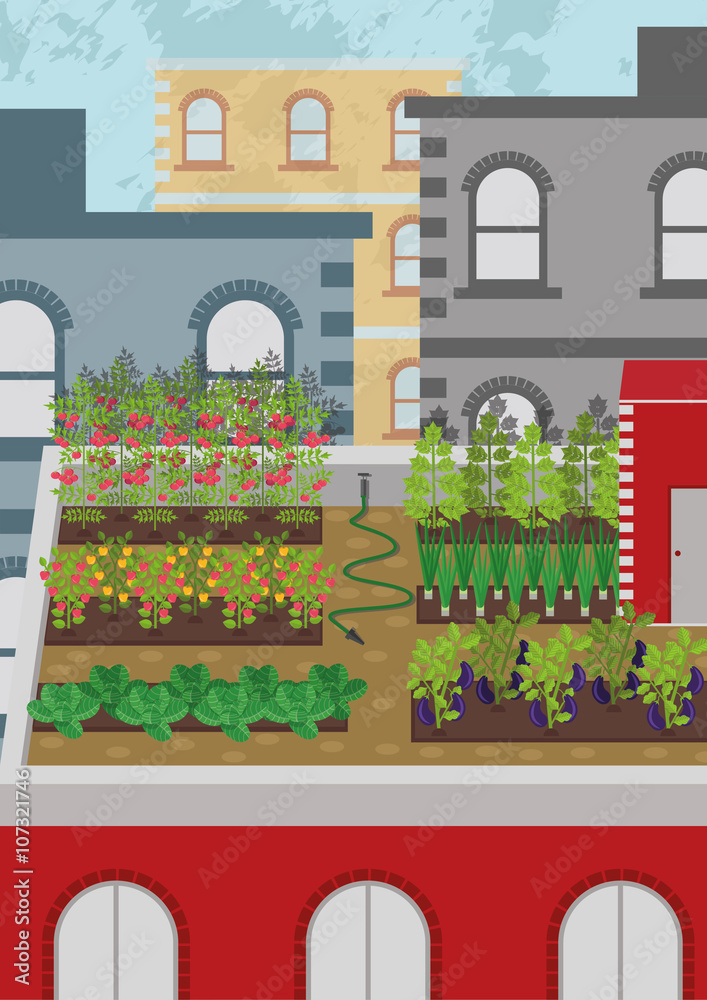 Illustration of urban farming or urban gardening on the roof of the ...