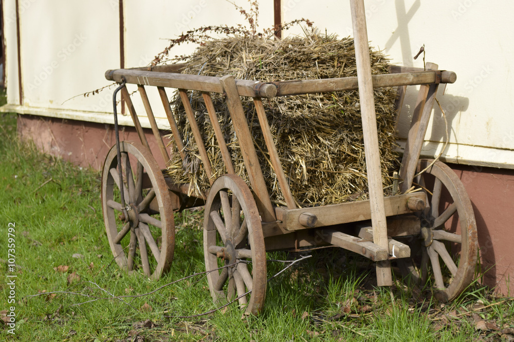 Dekorativer Handwagen auf dem Bauernhof Stock-Foto | Adobe Stock