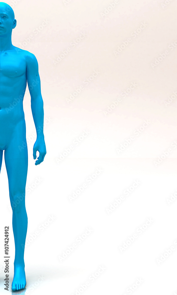 Busto, Anatomia Umana, Scultura Stock Illustration | Adobe Stock