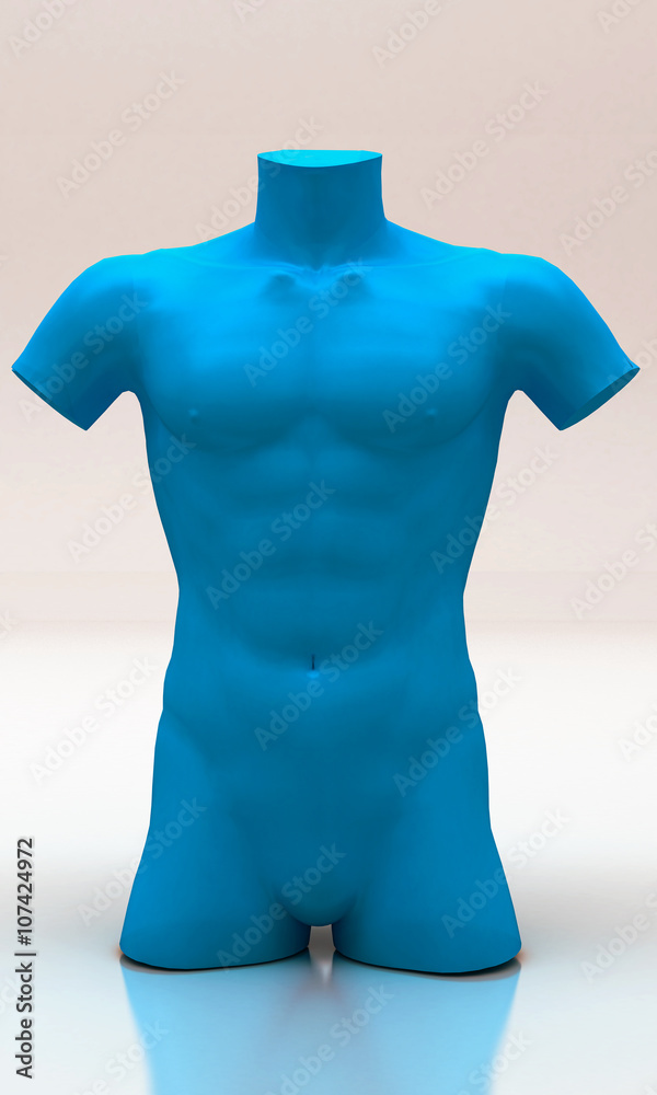 Busto, Anatomia Umana, Scultura Stock Illustration | Adobe Stock